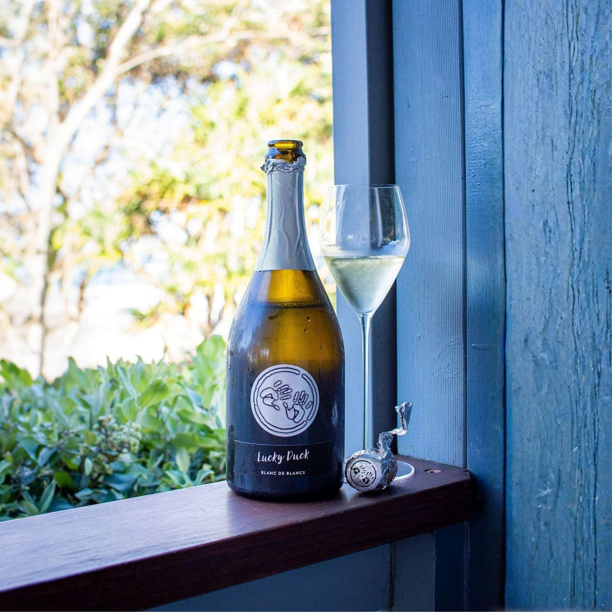 2019 Lucky Duck Sparkling | Two Hands Wines