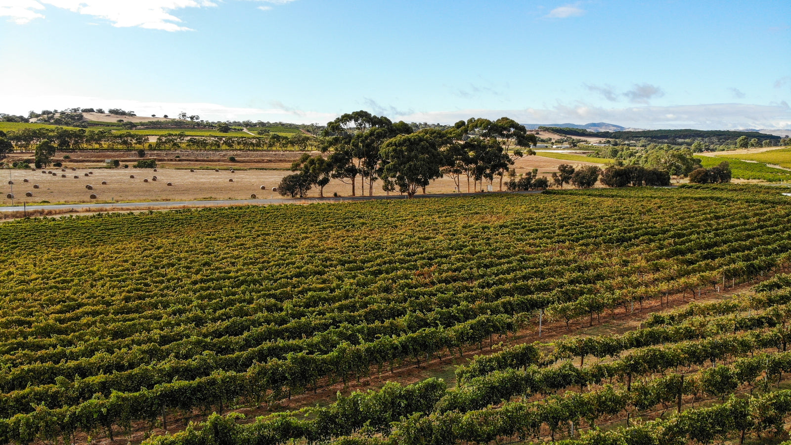 Coach House Block Shiraz | Two Hands Wines